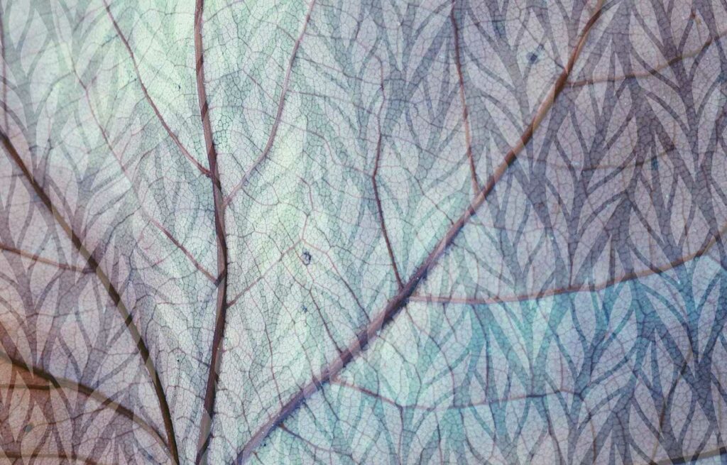 Project | Gastroenterologist Website Design | Brainier Brands